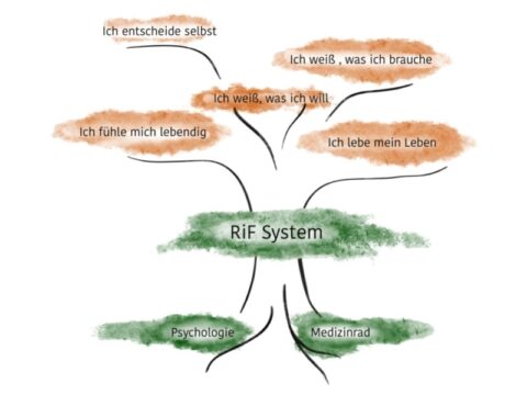 Das RiF-System - Werner Lucas Coaching